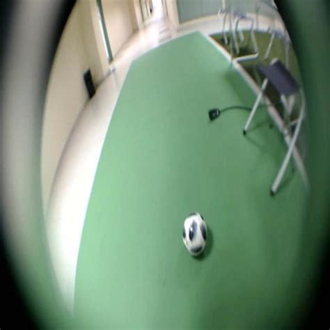 Ss Object Detection Dataset By BallDataSet