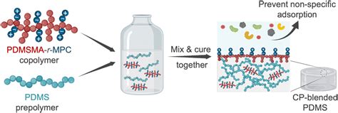Surface Segregating Zwitterionic Copolymers To Control Poly Dimethylsiloxane Surface Chemistry