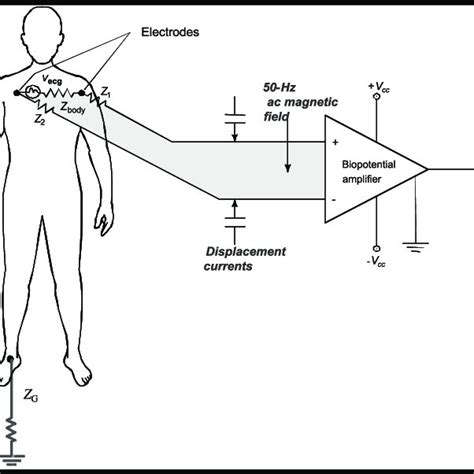 Capacitive Principle For Electrostatic Shielding Download Scientific
