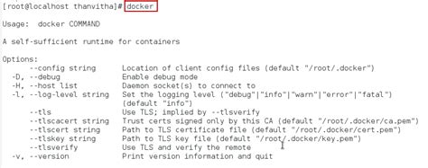 Docker And Sql Server On Linux Coding Sight