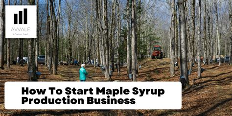 How To Start A Maple Syrup Production Business