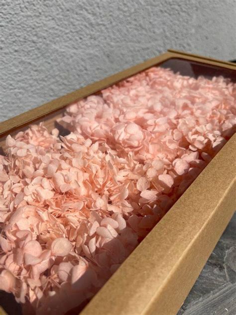 Стабілізована гортензія 5 г колір Пудровий купити ціна у Києві Львові Одесі Magic Gardens