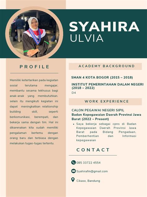 Cv Volunteer Pdf