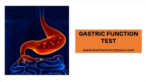 Gastric Function Test Biochemistry Basics By Dr Amit Maheshwari