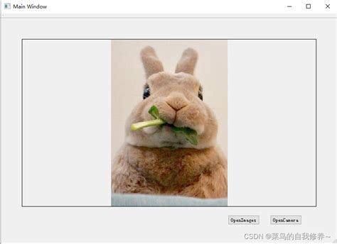 使用qtopencv实现打开图片和摄像头qt点击按钮opencv打开相机 Csdn博客