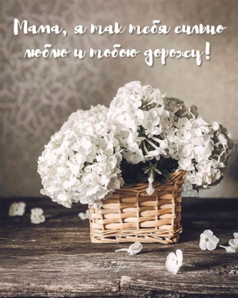 Мама я тебя люблю 60 картинок