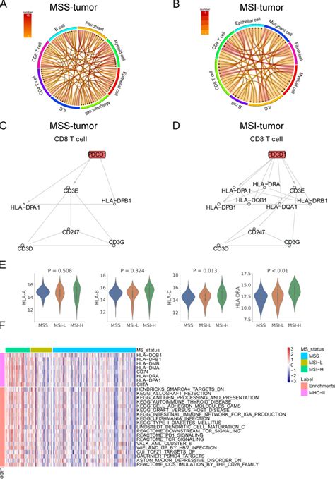Analysis Of The Molecular Nature Associated With Microsatellite Status In Colon Cancer