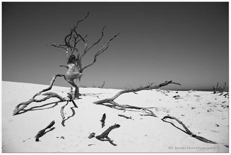 Favourites Nude Nude In Landscape Nude Art Photography Curated By Photographer Laila Pregizer
