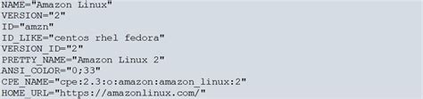 db2 fixpack installation on aws linux triton consulting damir wilder