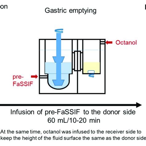 Effect Of Initial Fassgf Ph On The Dissolution A And Permeation B Download Scientific