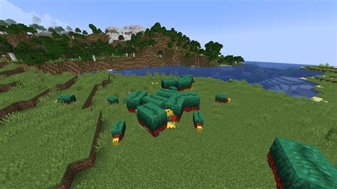 New Snapshot R Minecraft