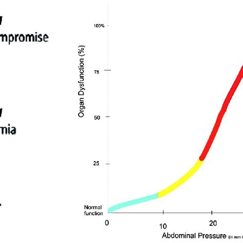 Effects Of Increasing Intraabdominal Pressure Iap On Organ Function