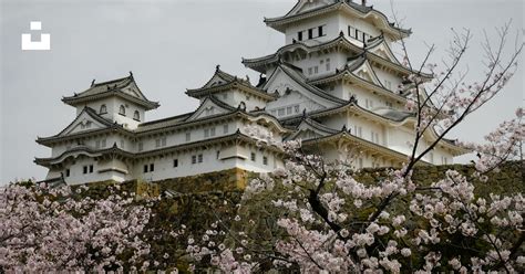 무성한 녹색 언덕 꼭대기에 앉아있는 높은 흰색 건물 사진 Unsplash의 무료 오사카 이미지