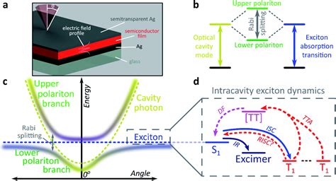 Strong Coupling Energy Loss At Amparo Roberts Blog