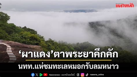 ข่าว Like สาระ จุดชมวิวผาแดงบนอุทยานแห่งชาติตาพระยาคึกคัก นทท แห่ชมทะเลหมอกรับลมหนาว
