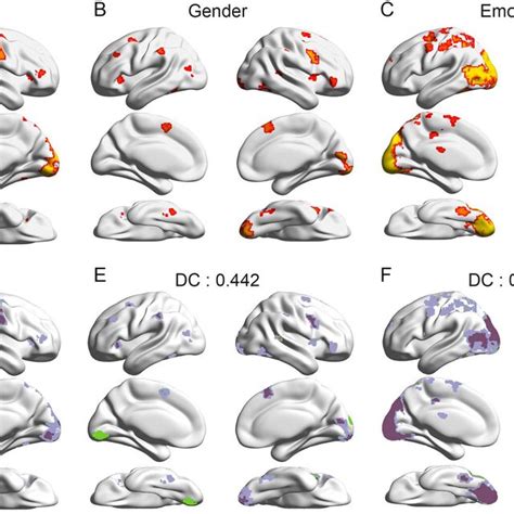 Rsa Results Of Multiple Regression And Random Results Group Level