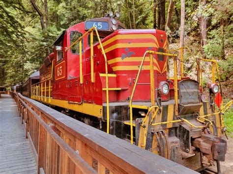 Take A Vintage Train To A Secret Bar In Californias Redwood Forest