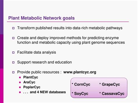 Ppt Accessing The Data You Need At The Plant Metabolic Network Powerpoint Presentation Id