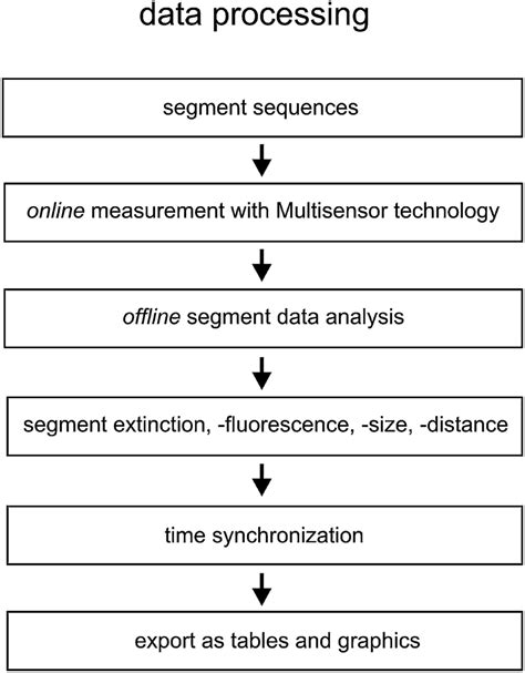 Data Processing Online Measurement Of Segment Sequences And