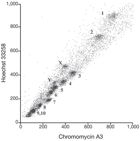 Bivariate Flow Cytometric Analysis Of Chinese Hamster Chromosomes
