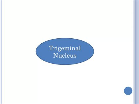 Trigeminal Neuralgia Ppt Brain And Nervous System Disorders Diseases And Conditions