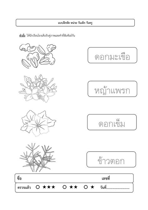 ปักพินโดย พิตตะวัน ใน ใบงาน กิจกรรมเสริมทักษะเรียนรู้เด็กอ่อน กิจกรรมเด็กก่อนวัยเรียน