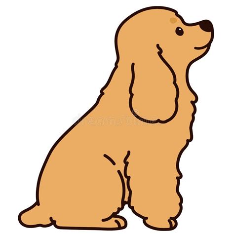 Sitting Cocker Spaniel Side View Stock Vector Illustration Of