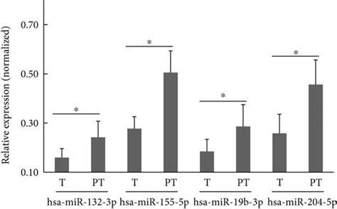 Stem Loop Qrt Pcr Confirmed The Altered Expression Pattern Of Four Mirs