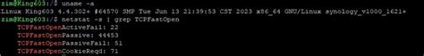 Please Enable TCP Fastopen On Your Storage Nodes 88 By Snorkel