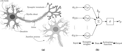Information Processing Unit Of An Ann A Left Illustrates The