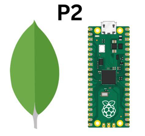 Effortless Data Storage Mongodb Database And Raspberry Pi Pico W Walk Shillehtek