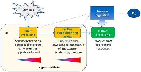 A Blog About Conditional Reasoning And Emotional Experience Decode Minds By Mariofuchs Jul