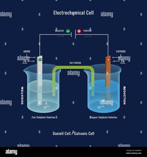 Galvanic Cell Labeled