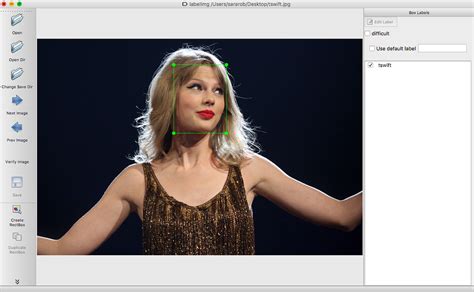Build A Taylor Swift Detector With The Tensorflow Object Detection Api