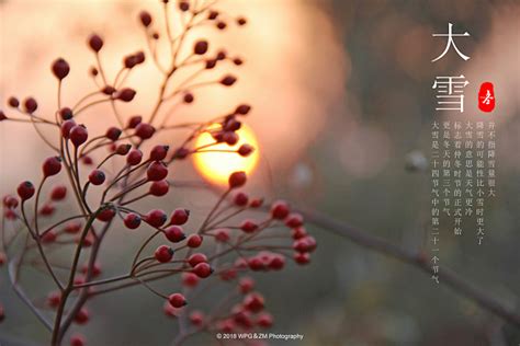 今日大雪 大雪是二十四节气中的第二十一个节气 更是冬天的第二个节气 标志着仲冬时节的正式开始 大雪的意思是天气更冷 降雪的可能性比小雪时更大了