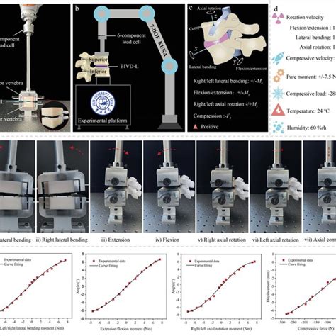 Experimental Validation Of Multidirectional Stiffness A The Test