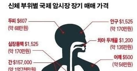 신체부위별 장기 가격