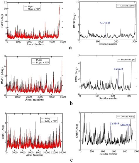 Root Mean Square Fluctuation Of Before And After Docking Of A Mpro B Download Scientific