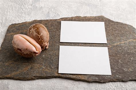흰색 종이 명함 회색 콘크리트 배경에 천연 돌과 조개로 모형 공백 측면 보기 정물 복사 공간 갈색에 대한 스톡 사진 및 기타 이미지 Istock