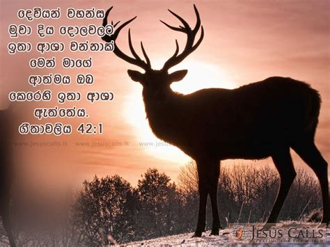 දෙවියන් වහන්ස මුවා දිය දොලවලට ඉතා ආශා වන්නාක් මෙන් මාගේ ආත්මය ඔබ කෙරෙහි ඉතා ආශා ඇත්තේය ගීතාවලිය