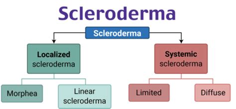 Scleroderma Flashcards Quizlet