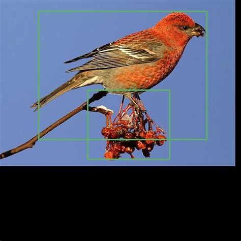 Tutorial Spec Error Message Type Regularizerconfig Has No Field