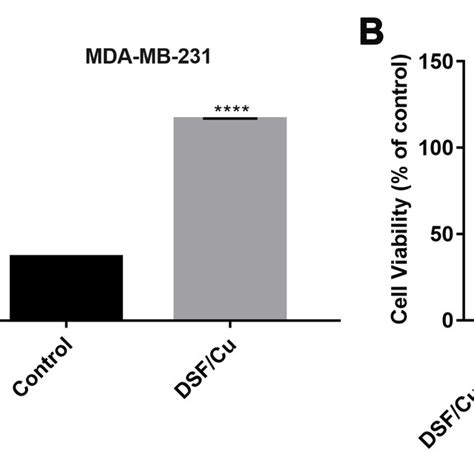 Dsfcu Impaired The Mitochondria In Tnbc Cells A Dsfcu Impairs The