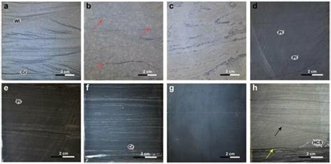 Representative Photographs Of The Major Montney Formation Lithofacies
