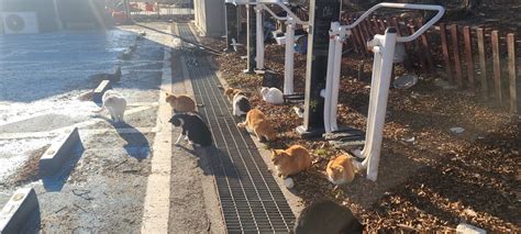 십리포해수욕장 유머 움짤 이슈 에펨코리아