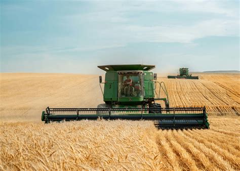 Global Corn Combine Harvester Machine Market Growth And Forecast