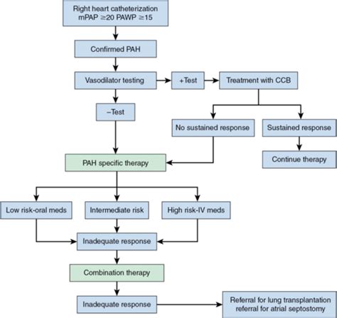 Pulm Htn Flashcards Quizlet