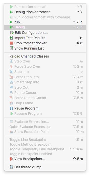 In Container Java Development Intellij