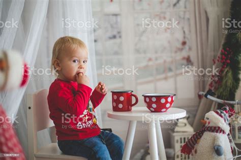 작은 유아 소년 차를 마시고 눈 날에 봉 제 장난감 쿠키를 먹는 겨울에 대한 스톡 사진 및 기타 이미지 겨울 귀여운 낙농장 Istock