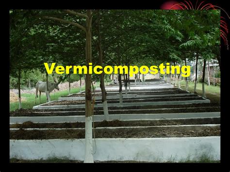 Vermicomposting Preparation And Its Importance Pptx